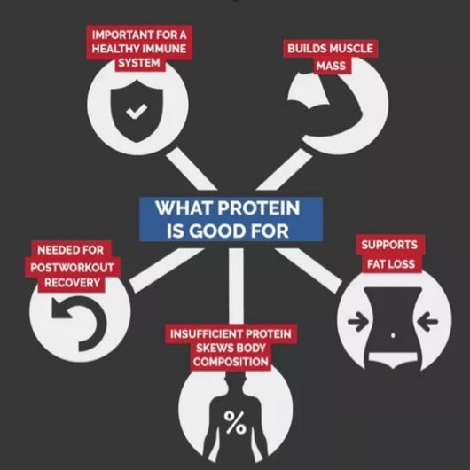 Is Excessive Protein Intake Beneficial or Harmful to Your Health?